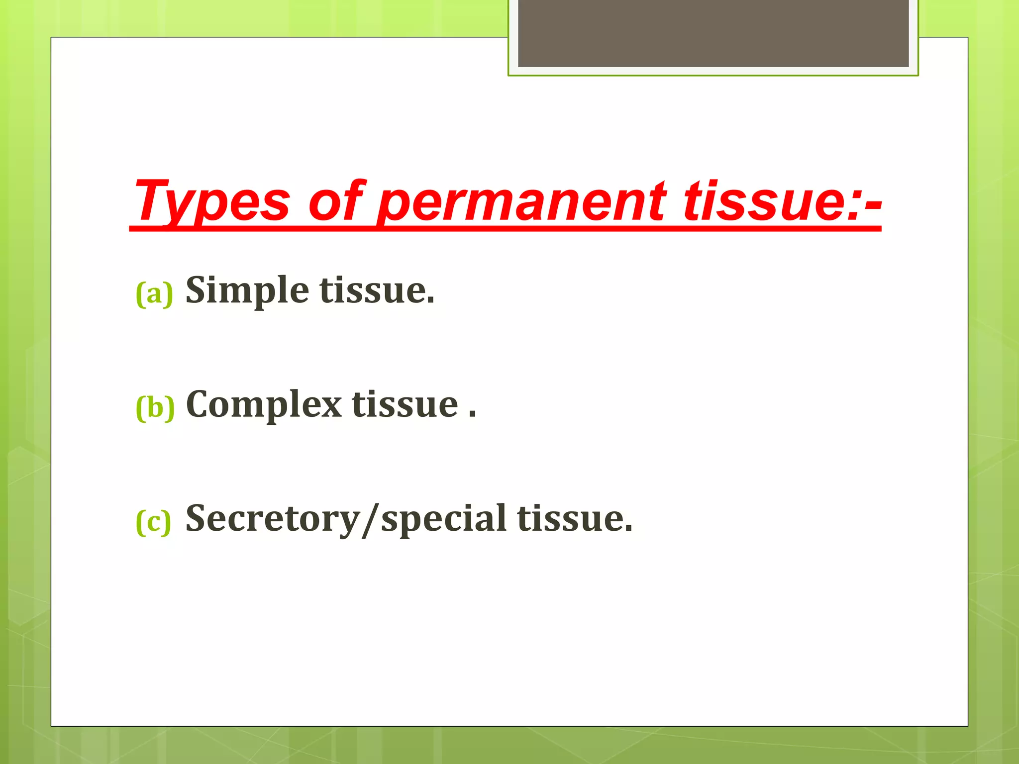 PERMANENT TISSUE.pptx