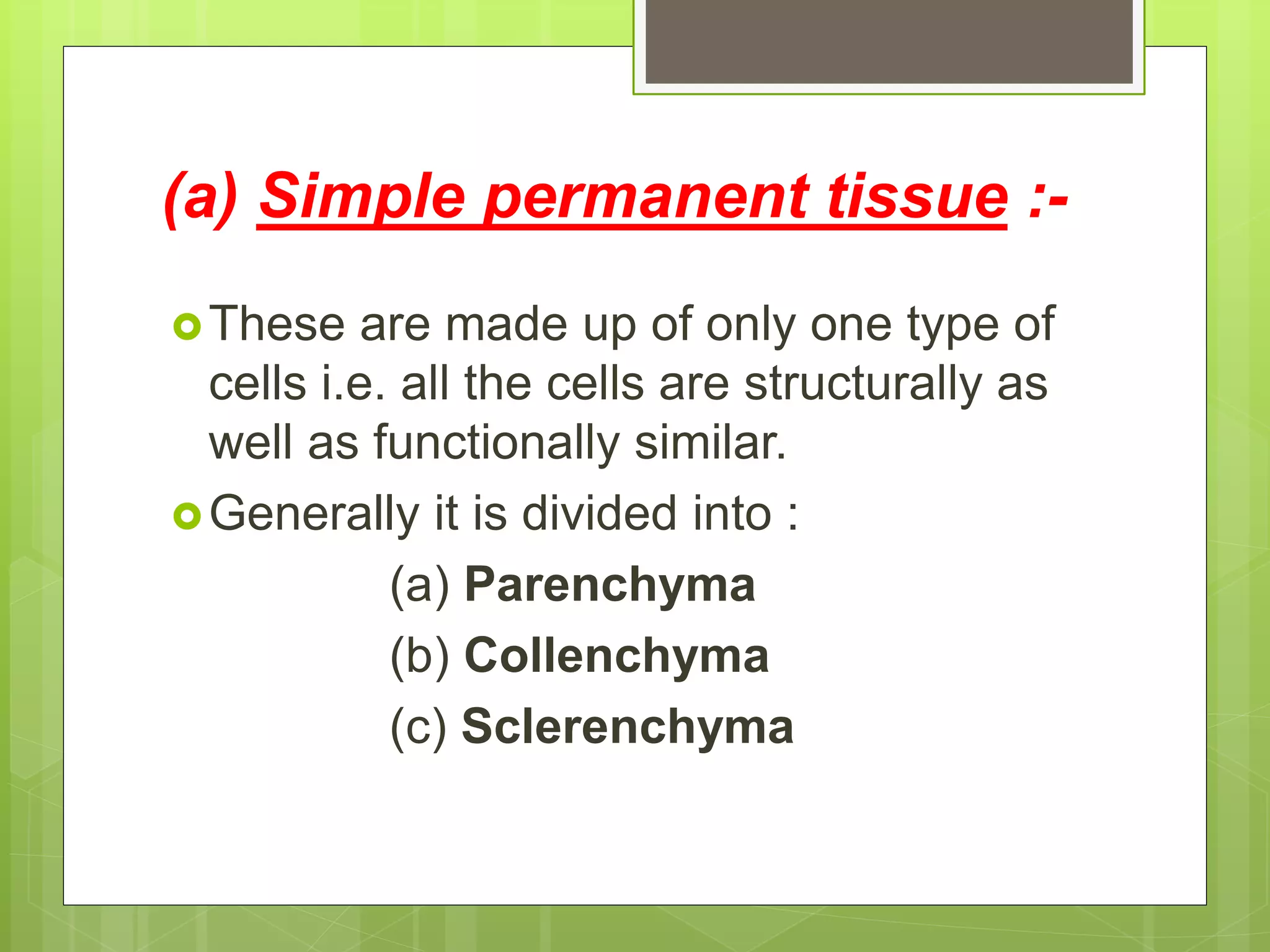 PERMANENT TISSUE.pptx