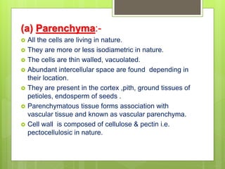PERMANENT TISSUE.pptx