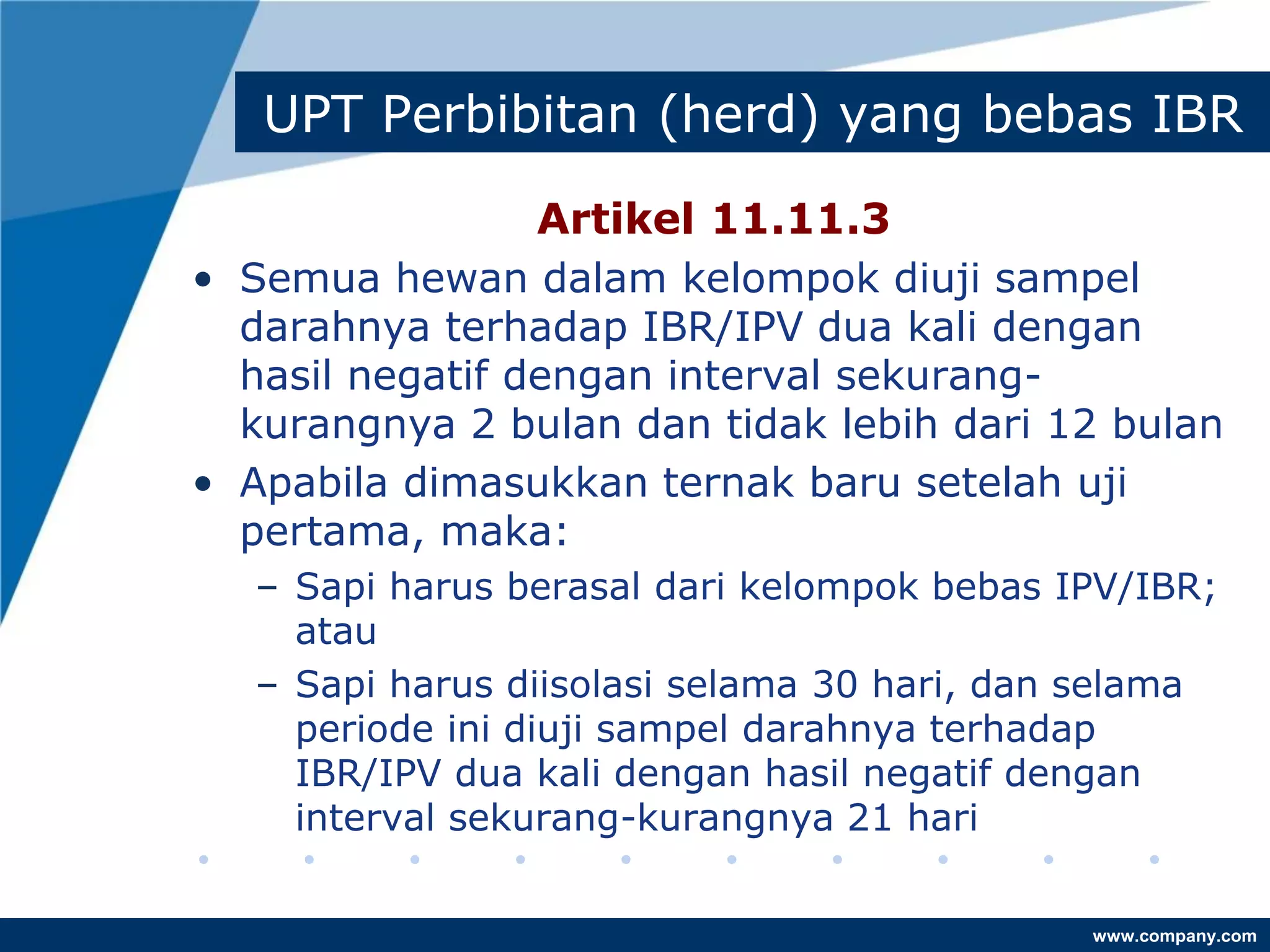 Permasalahan Penyakit Infectious Bovine Rhinotracheitis (IBR) Pada Sapi ...