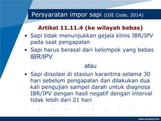 Permasalahan Penyakit Infectious Bovine Rhinotracheitis (IBR) Pada Sapi ...