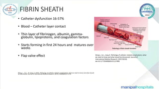 PERMCATH EXCHANGE AND FIBRIN SHEATH STRIPPING.pptx