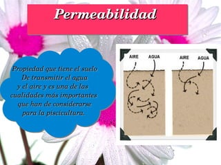Permeabilidad | ODP