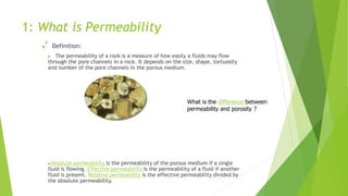 Permeability | PPT