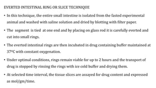 permeability in vivo in vitro in situ.pptx
