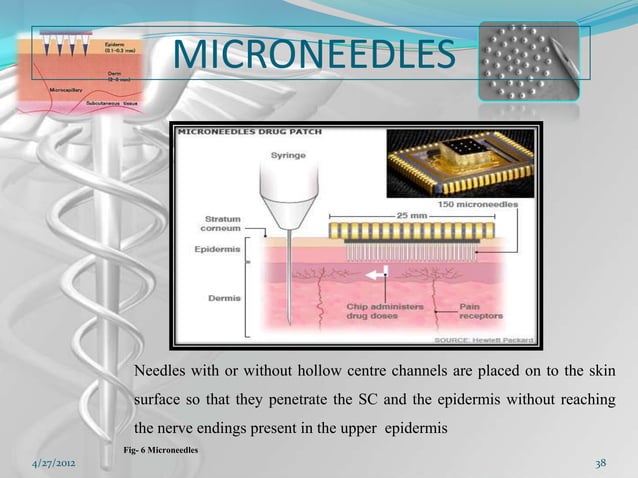 Permeation enhancement through skin | PPTX | Skin Care | Beauty