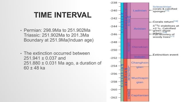 Permian triassic boundary by priyansh dwivedi | PPTX