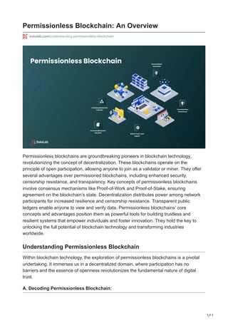 Permissionless Blockchain An Overview.pdf