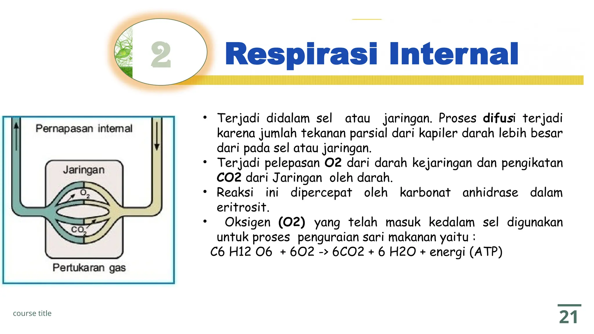 SISTEM PERNAFASAN KELAS 11 SMA KURIKULUM MERDEKA.pptx