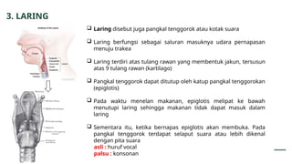 SISTEM PERNAFASAN KELAS 11 SMA KURIKULUM MERDEKA.pptx