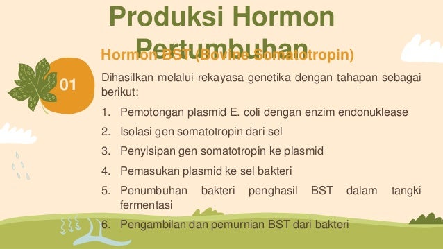 Pernanan Bioteknologi dalam berbagai bidang | PPTX
