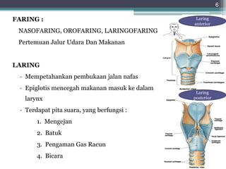 Pernapasan 01 | PPTX
