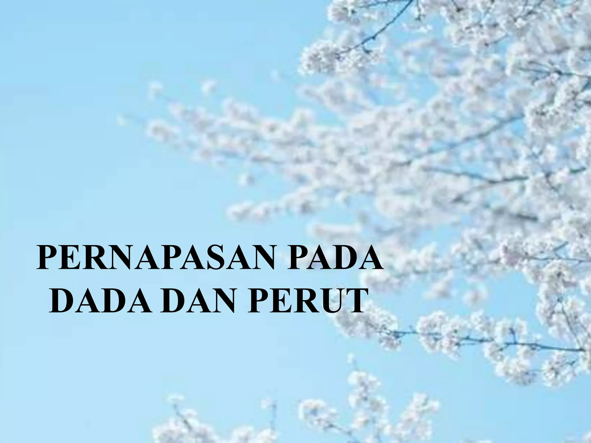 PERNAPASAN_PADA_DADA_DAN_PERUT.pptx