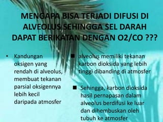 PERNAPASAN_PADA_DADA_DAN_PERUT.pptx