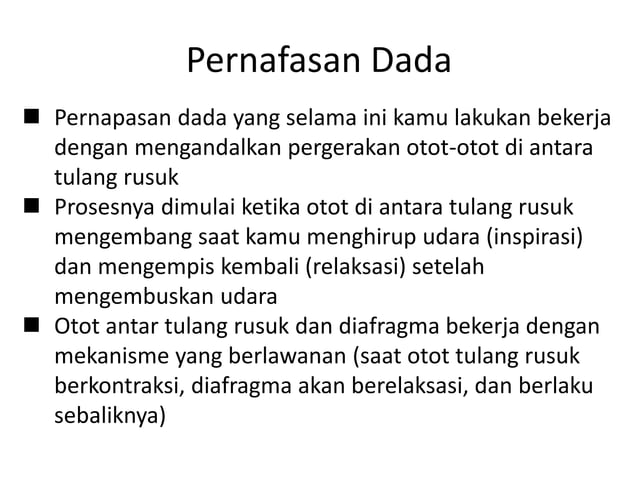 PERNAPASAN_PADA_DADA_DAN_PERUT.pptx