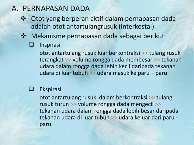 PERNAPASAN_PADA_DADA_DAN_PERUT.pptx
