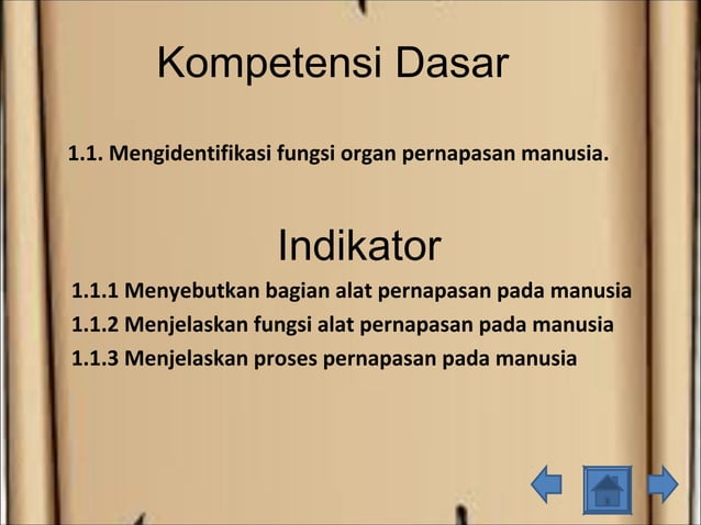 Pernapasan pada manusia | PPT