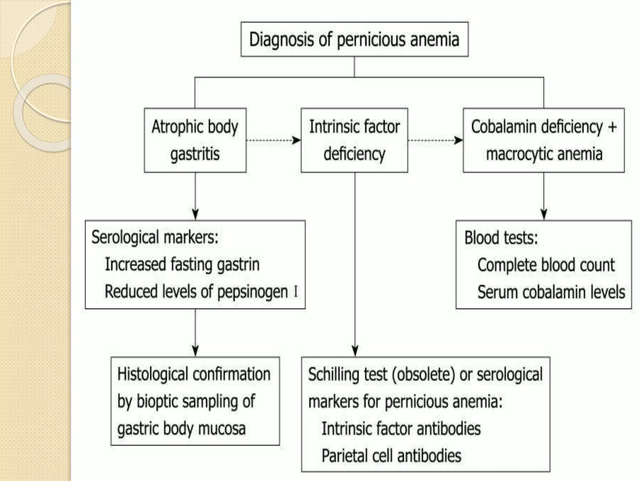 Pernicious Anemia | PPTX