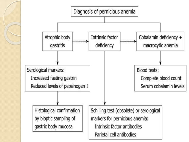 Pernicious Anemia | PPTX | Blood Disorders | Diseases and Conditions