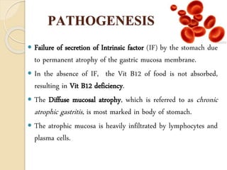 Pernicious Anemia | PPTX