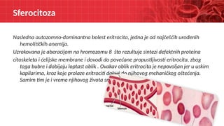 🩸 | Perniciozna anemija i hemolitičke anemije | PPT | Free Download