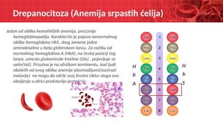 🩸 | Perniciozna anemija i hemolitičke anemije | PPT | Free Download