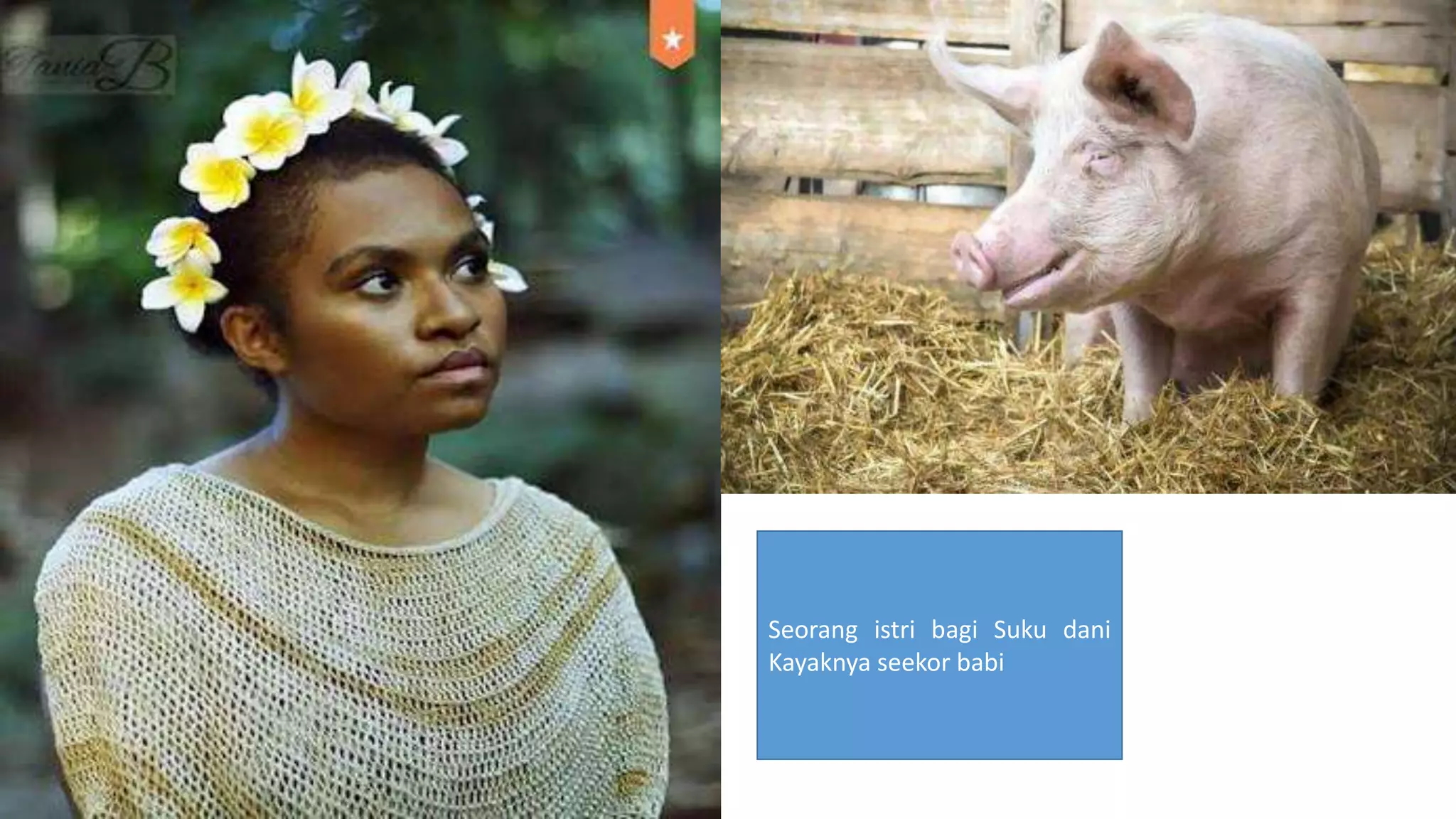 Pernikahan adat suku dani | PPTX