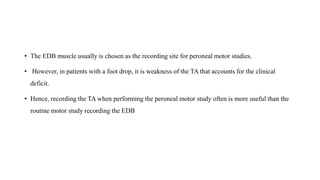Peroneal neuropathy. sciatic neuropathyy | PPTX