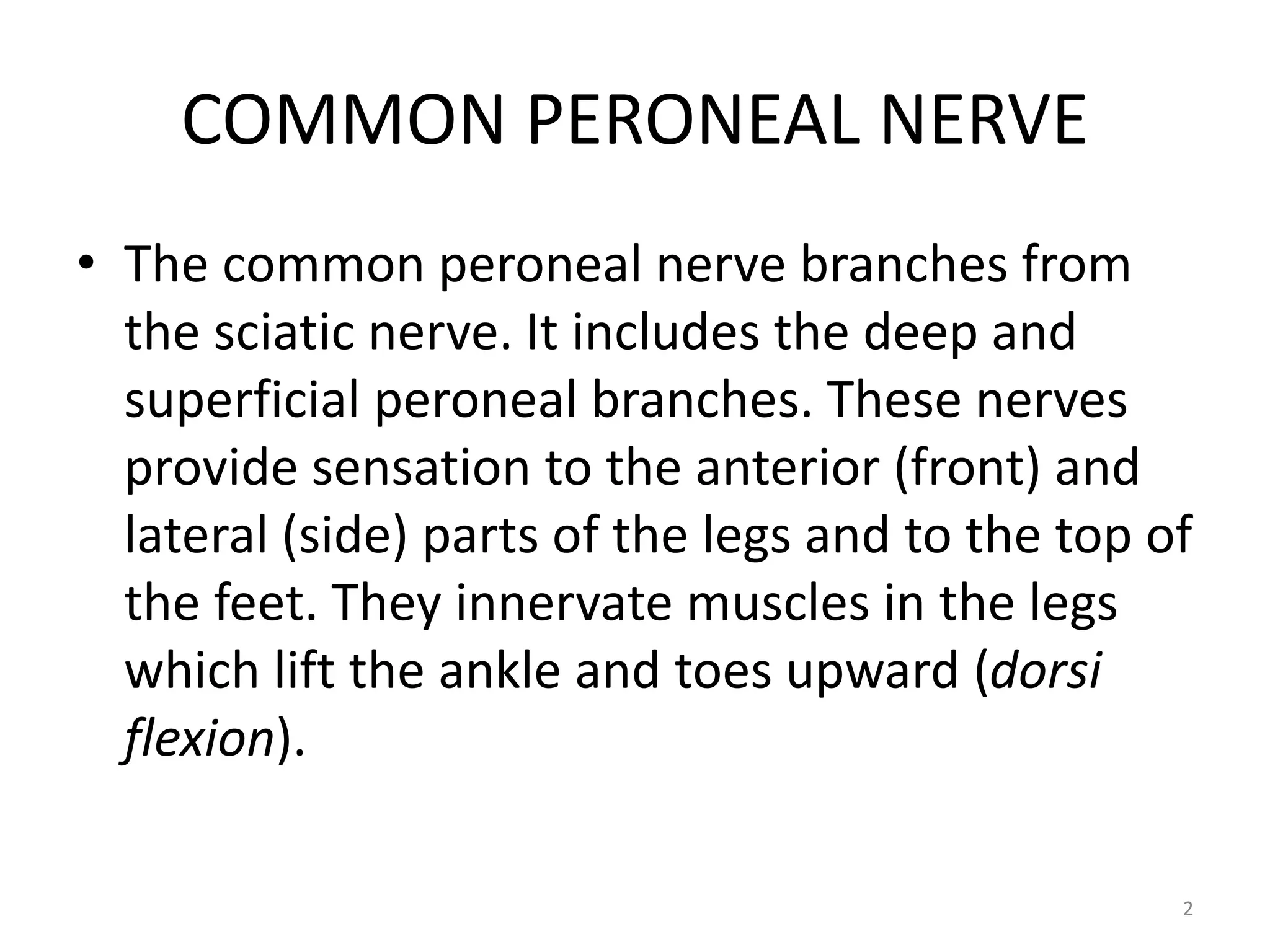 Peroneal nerve injury foot drop treatment | PPTX