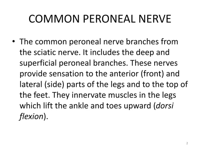 Peroneal nerve injury foot drop treatment | PPTX