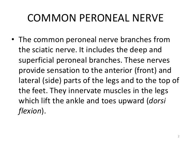 Peroneal nerve injury foot drop treatment