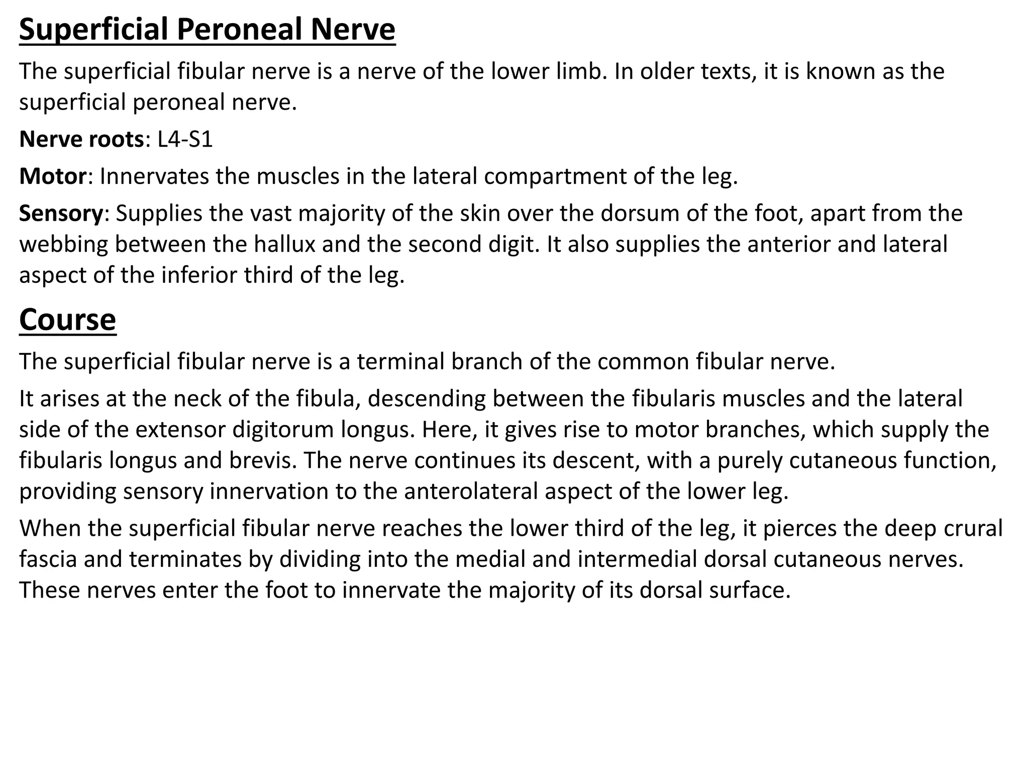 Peroneal superficial nerve | PPTX