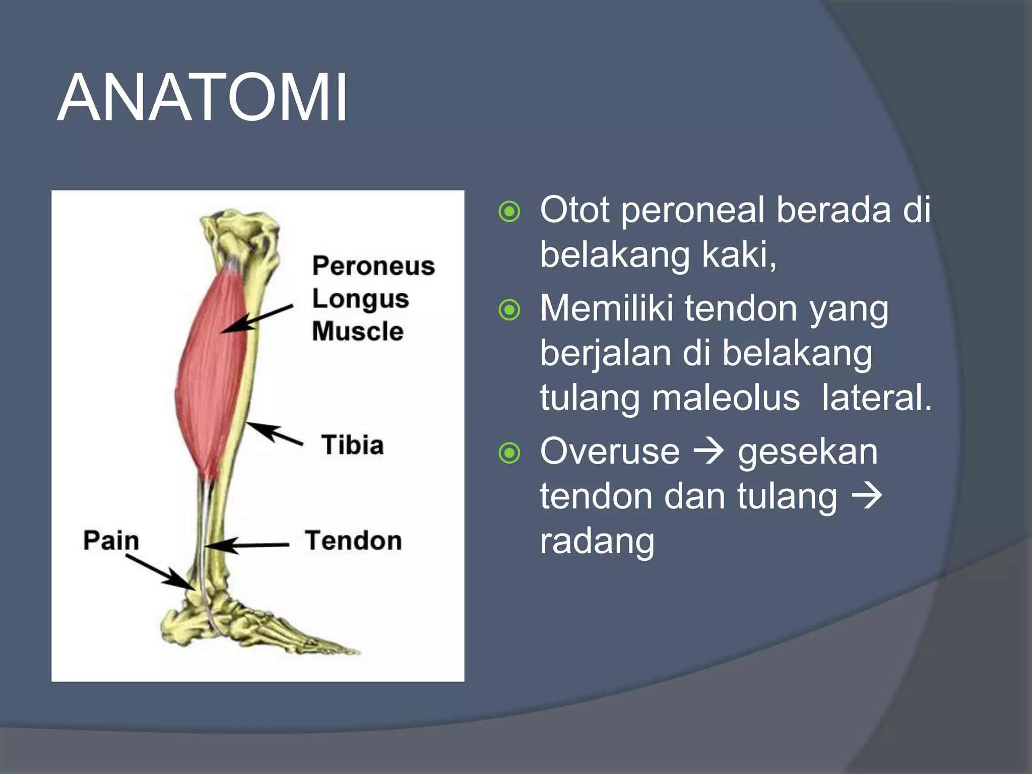 Peroneal tendinitis (Physiotherapy on sport injury) | PPTX