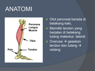 Peroneal tendinitis (Physiotherapy on sport injury) | PPT