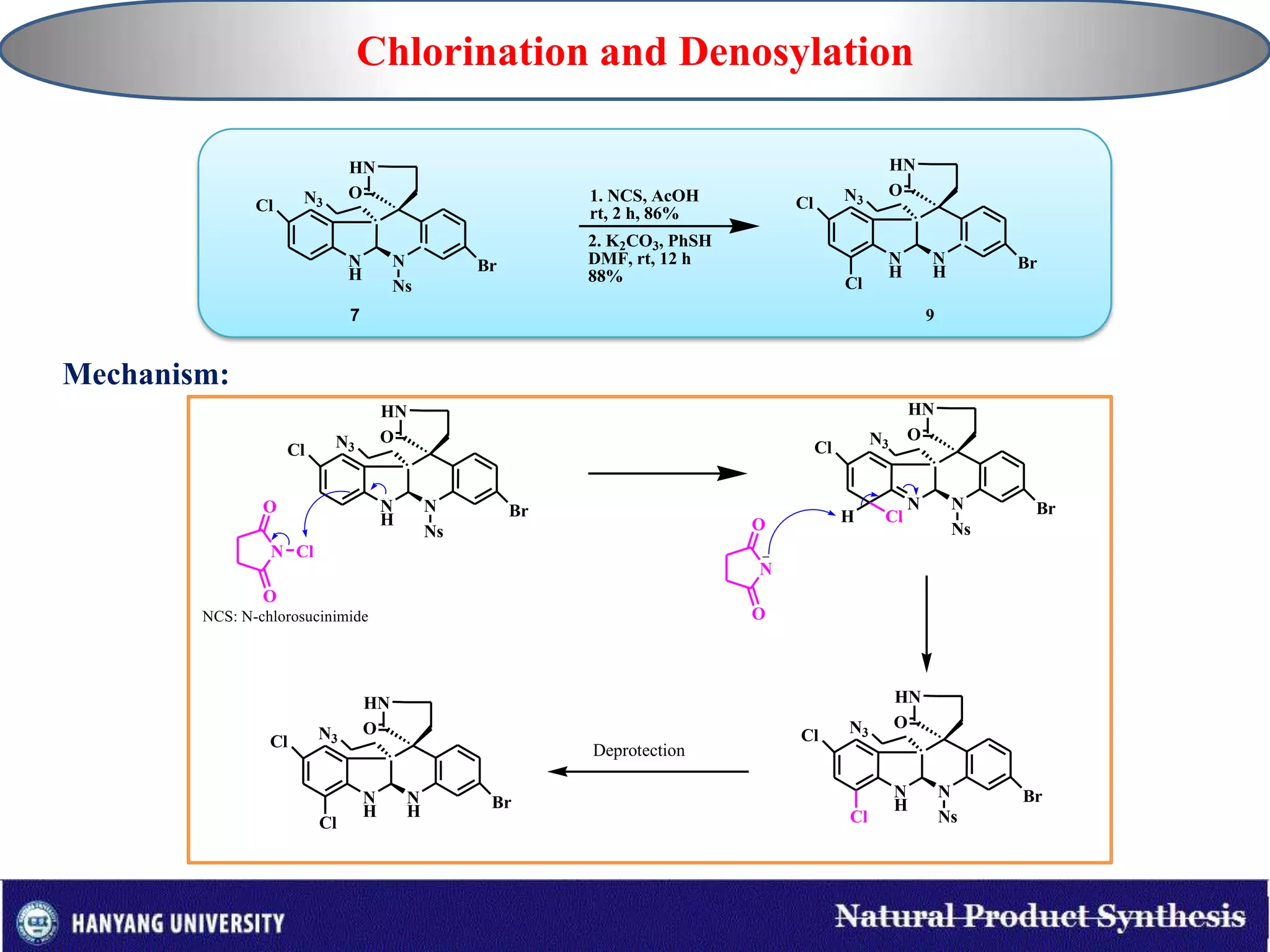 Total Synthesis of (+)-Perophoramidine | PPTX