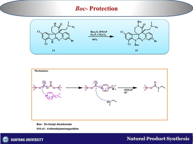 Total Synthesis of (+)-Perophoramidine | PPTX