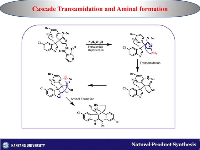 Total Synthesis of (+)-Perophoramidine | PPTX