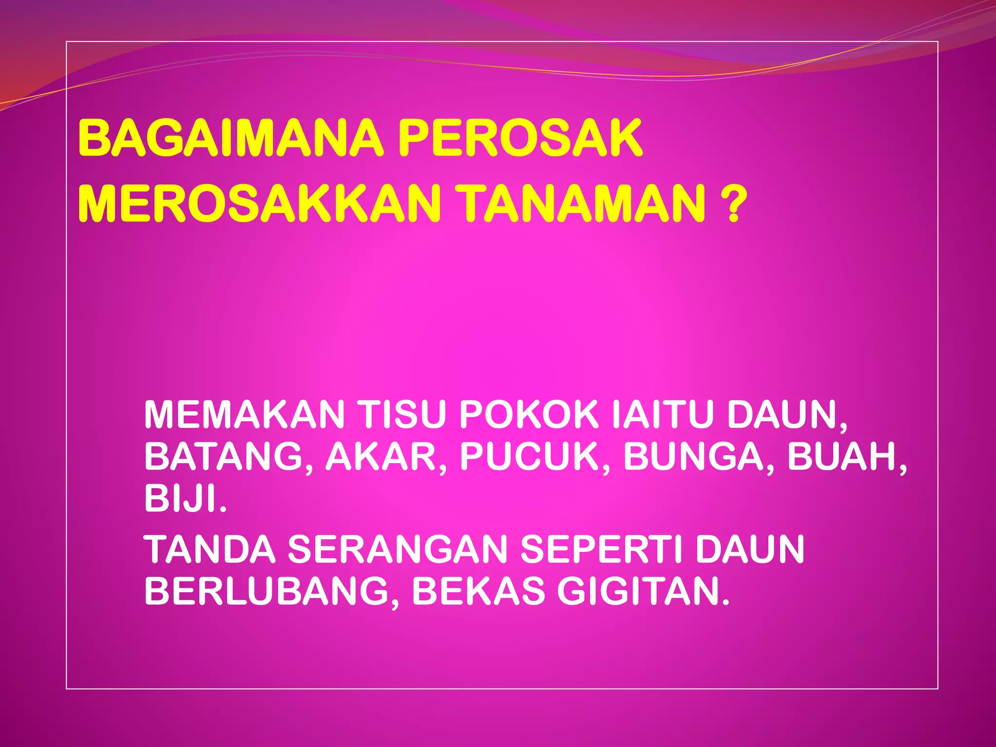 PEROSAK TANAMAN KELAPA | PDF