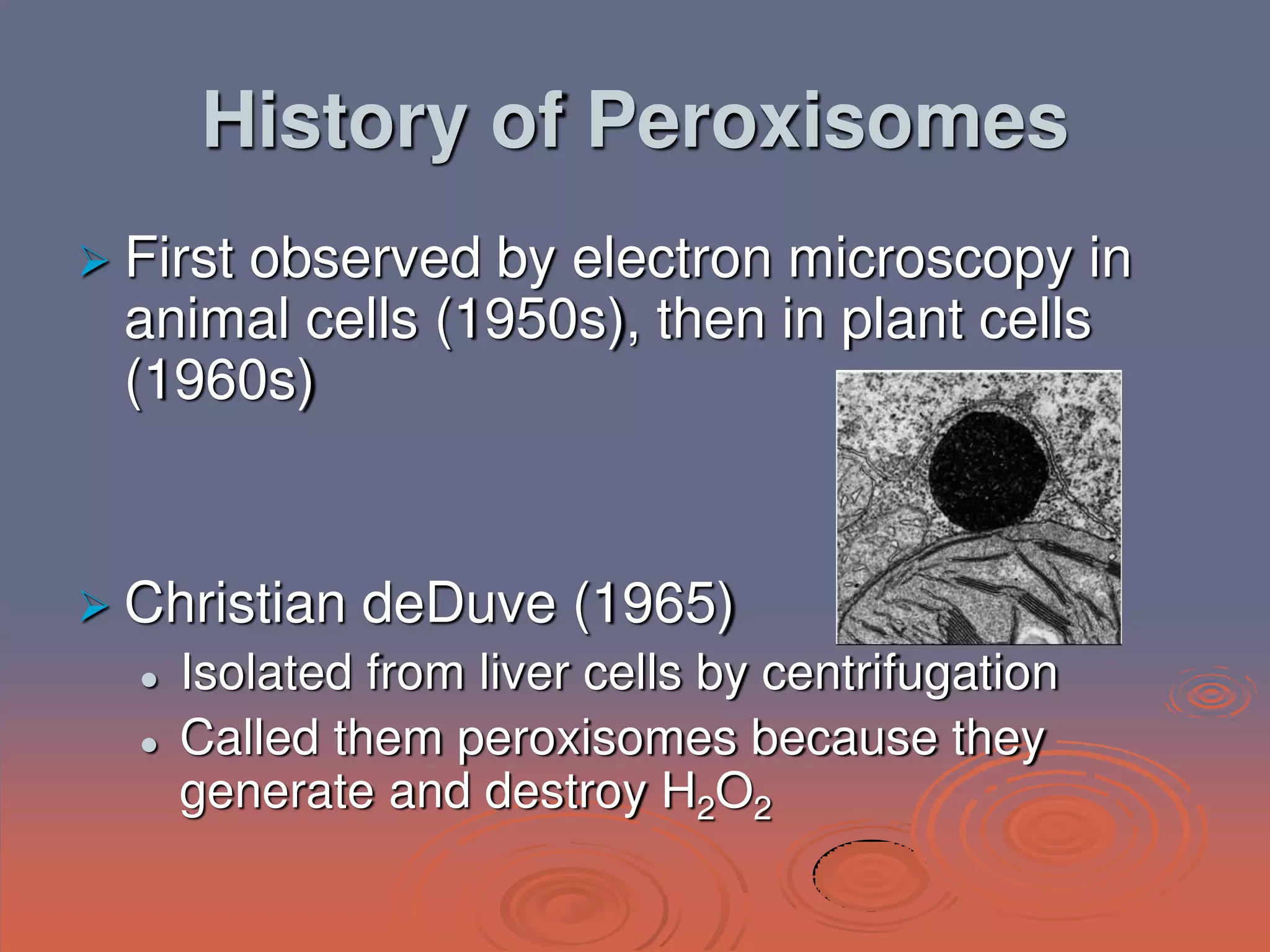 Peroxisome | PDF