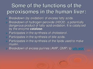 Peroxisome Function