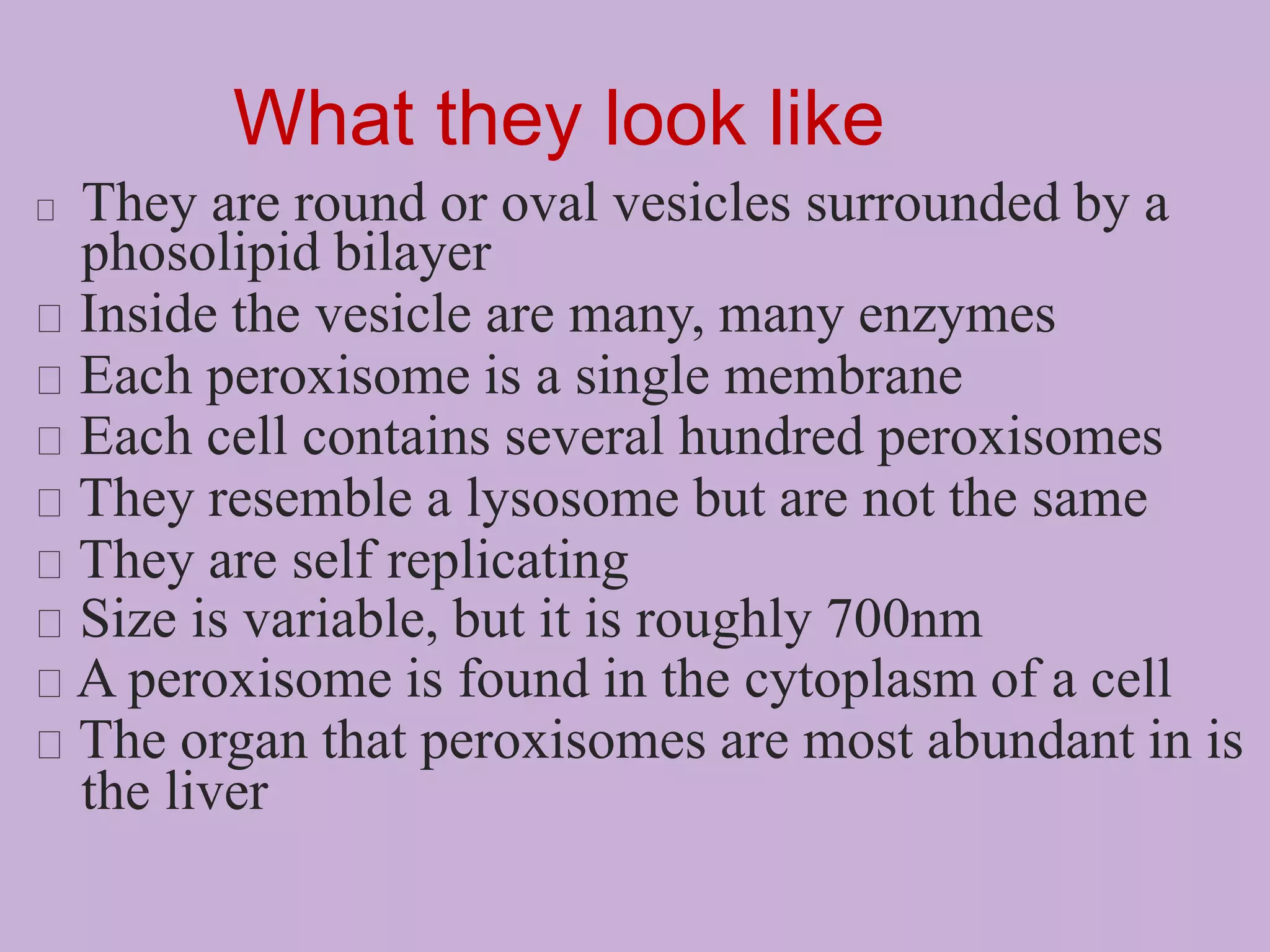 Peroxisome | PPTX