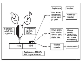 Peroxisome proliferator activated receptors (PPARs) | PPTX