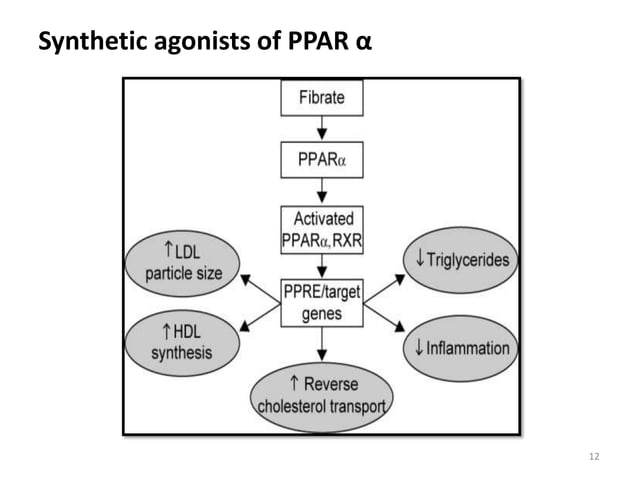 Peroxisome proliferator activated receptors (PPARs) | PPTX