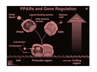 Peroxisome proliferator activated receptors (PPARs) | PPTX