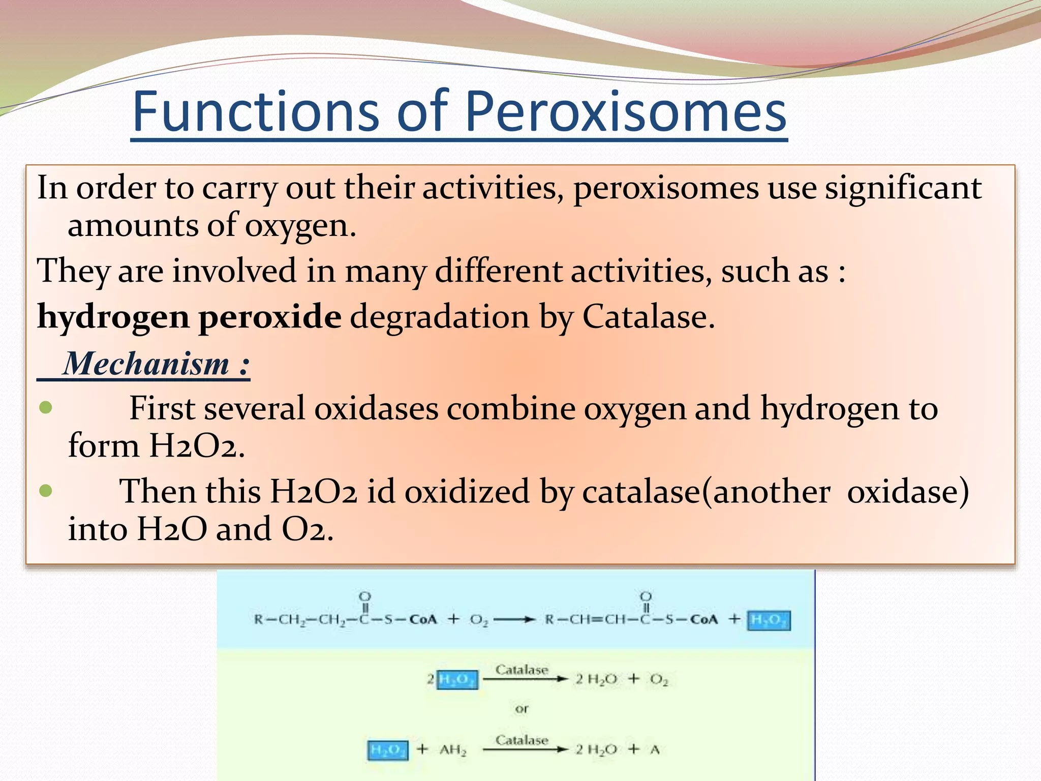 Peroxisomes | PPTX