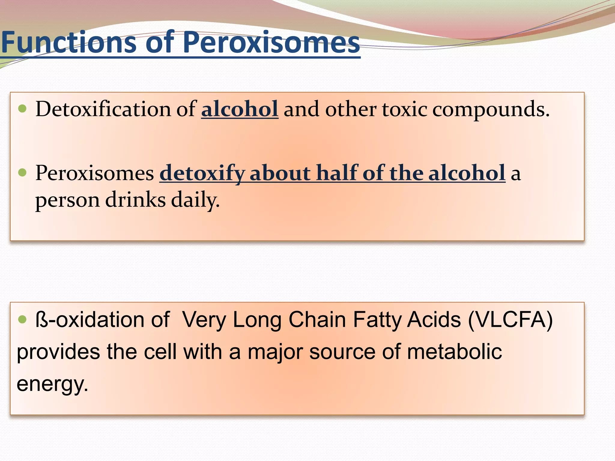 Peroxisomes | PPTX