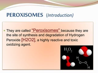 Peroxisomes | PPTX