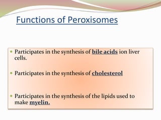 Peroxisomes | PPT
