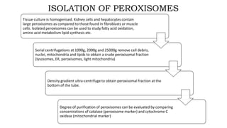 Peroxisomes | PPTX