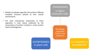 Peroxisomes | PPTX